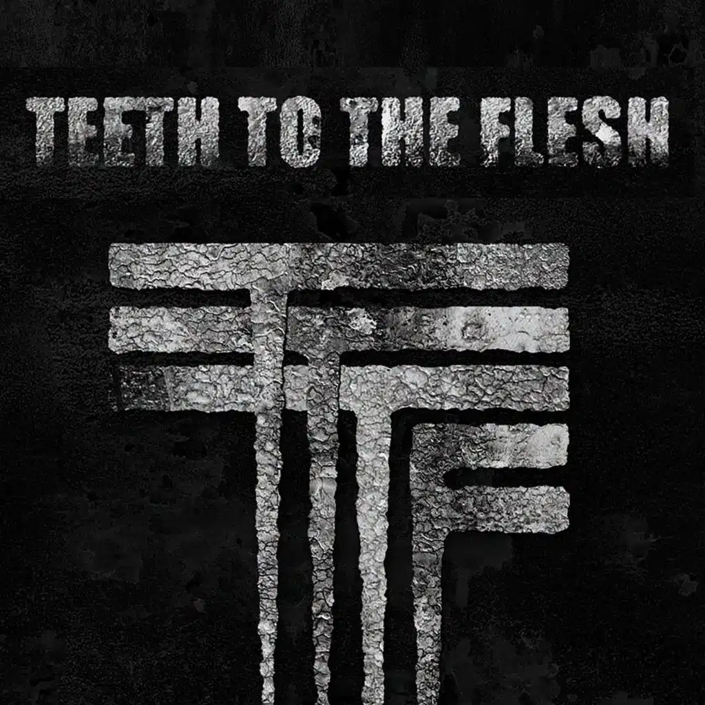 Teeth To The Flesh - None of You | Play on Anghami