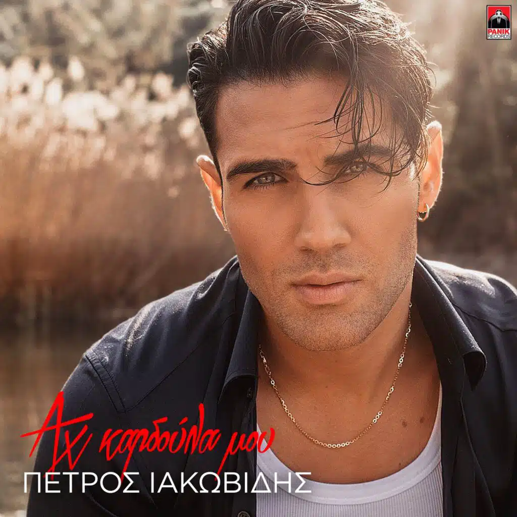 Petros Iakovidis - Asto | Play on Anghami