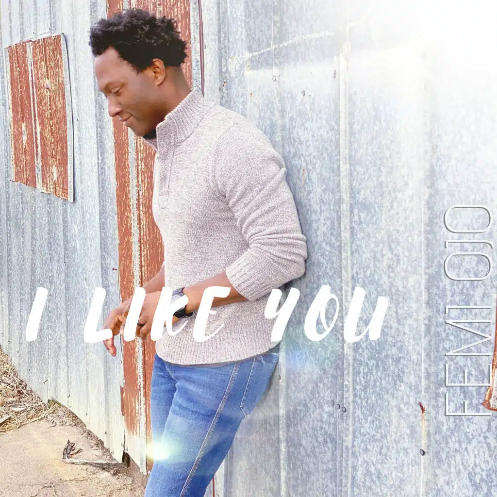 FEMI OJO - I Like You | Play on Anghami