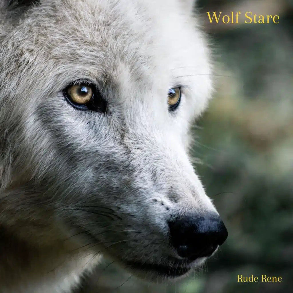 Rude Rene - Wolf Stare | Play on Anghami