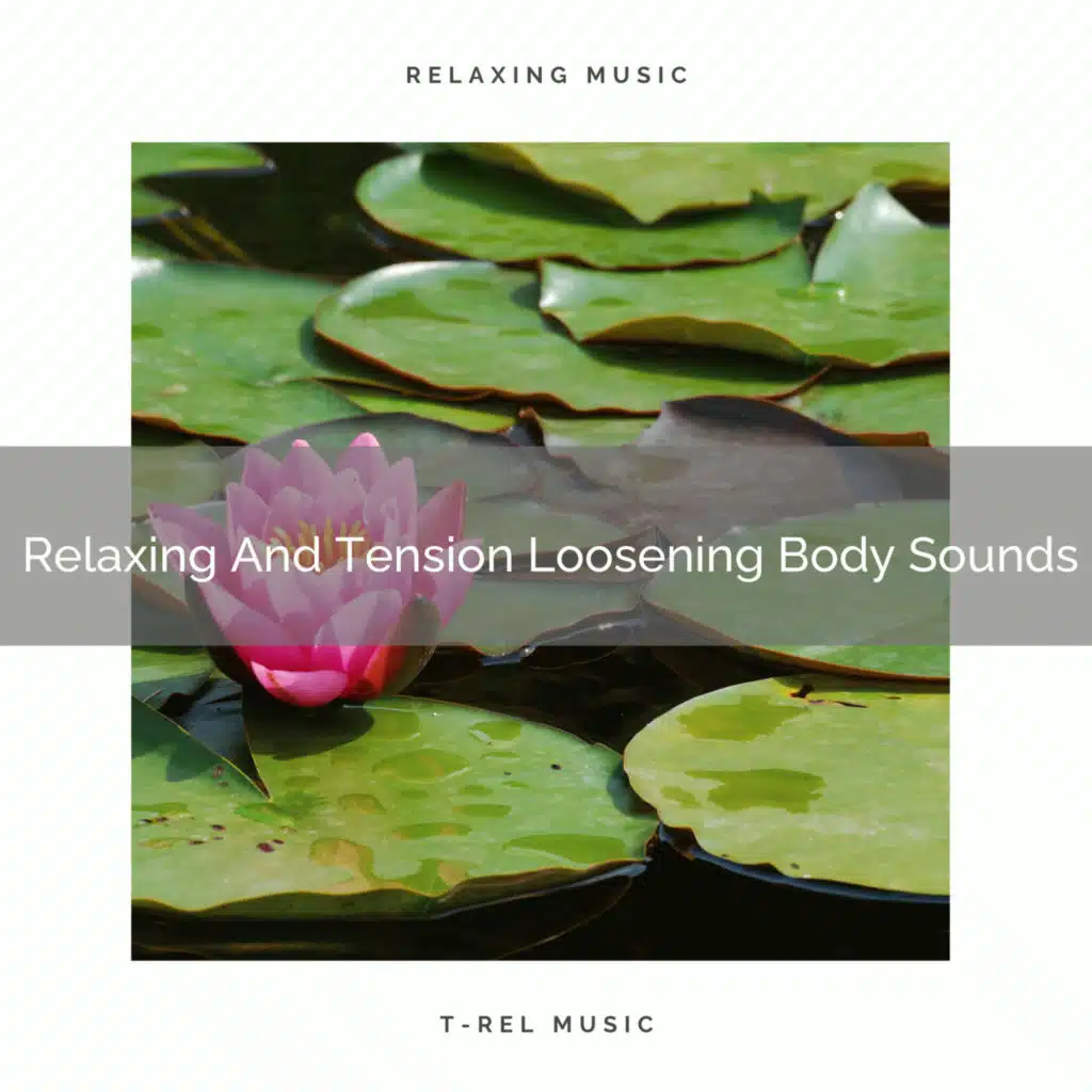 Timeless Relax - Relaxing And Tension Loosening Body Sounds | Play on ...