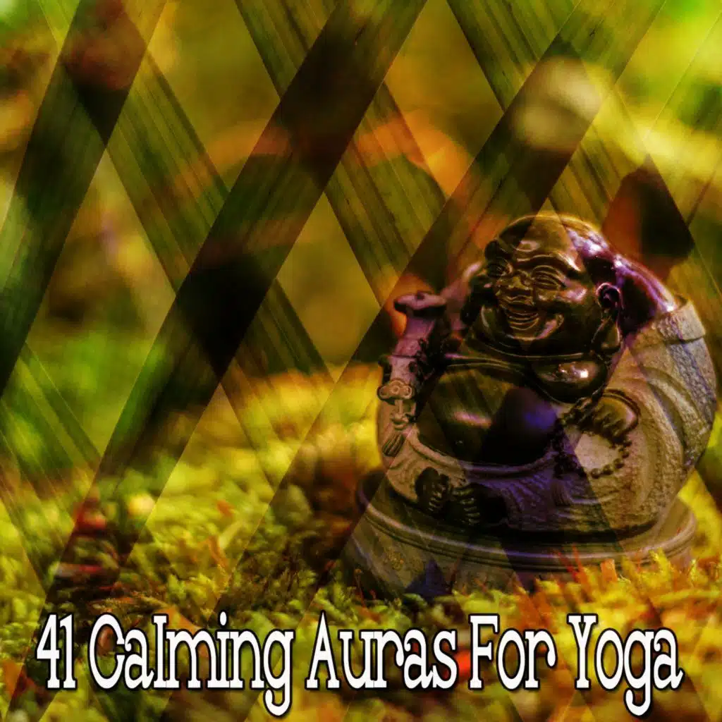 41 Calming Auras for Yoga by Yoga Workout Music | Play on Anghami
