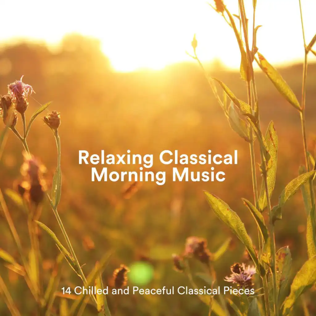 Relaxing Classical Morning Music: 14 Chilled and Peaceful Classical ...