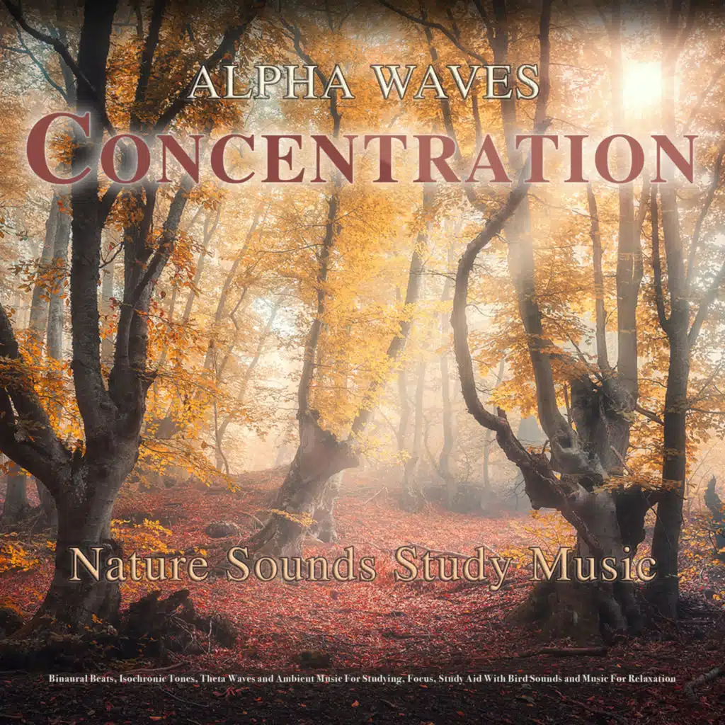 Alpha Waves Concentration - Nature Sounds Study Music - Binaural Beats, Isochronic Tones, Theta ...
