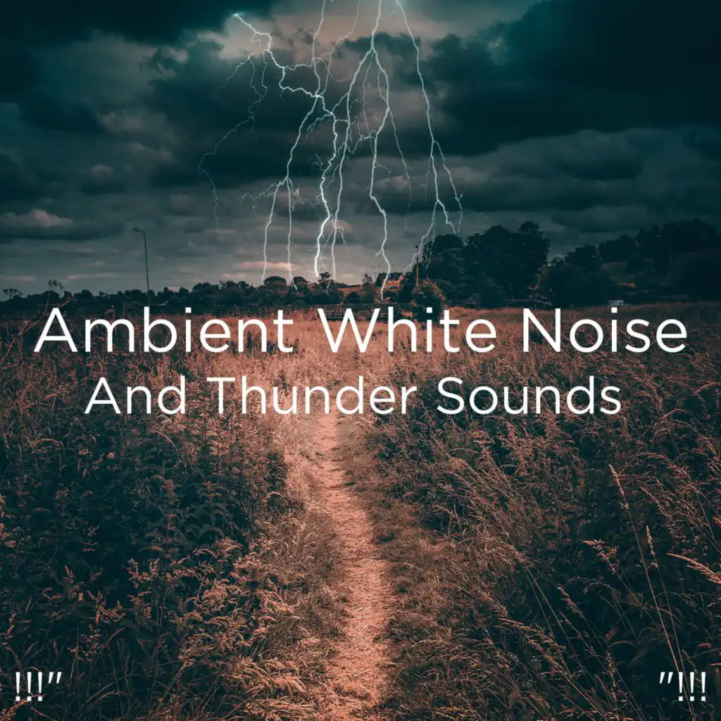 Ambient White Noise And Thunder Sounds By Sounds Of Nature