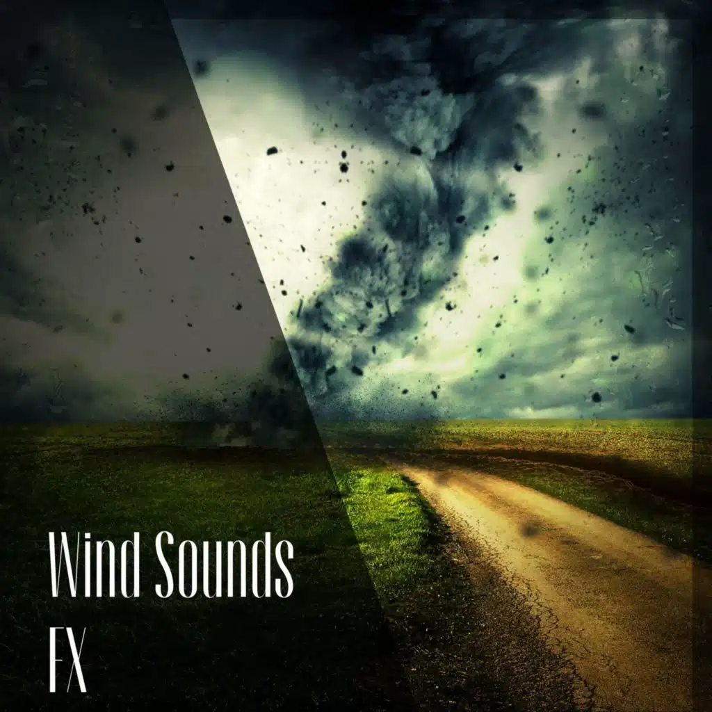Wind Sounds FX by Wind Noise & Sleep | Play on Anghami
