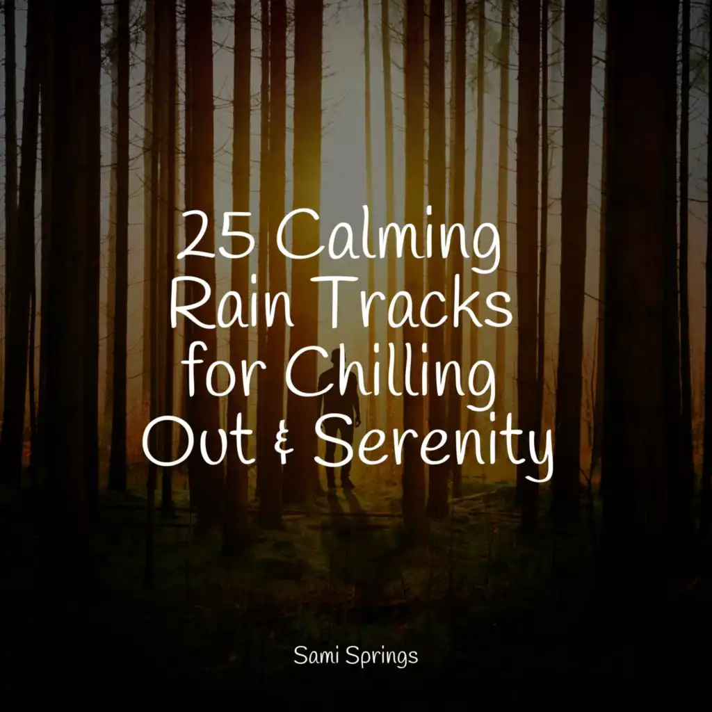 25 Calming Rain Tracks For Chilling Out And Serenity By Rain Recorders