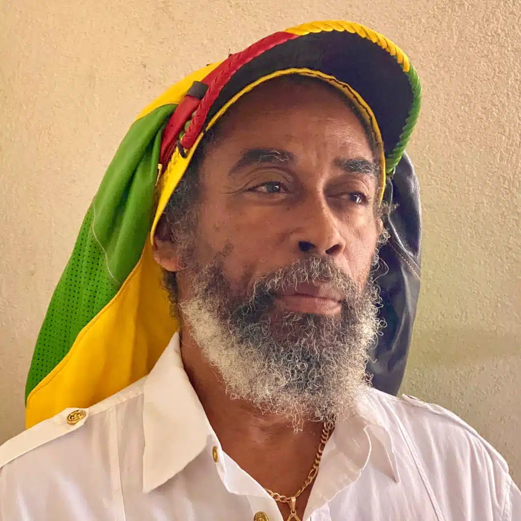 Ras Iley (Barbados) - Corona Take Over | Play on Anghami