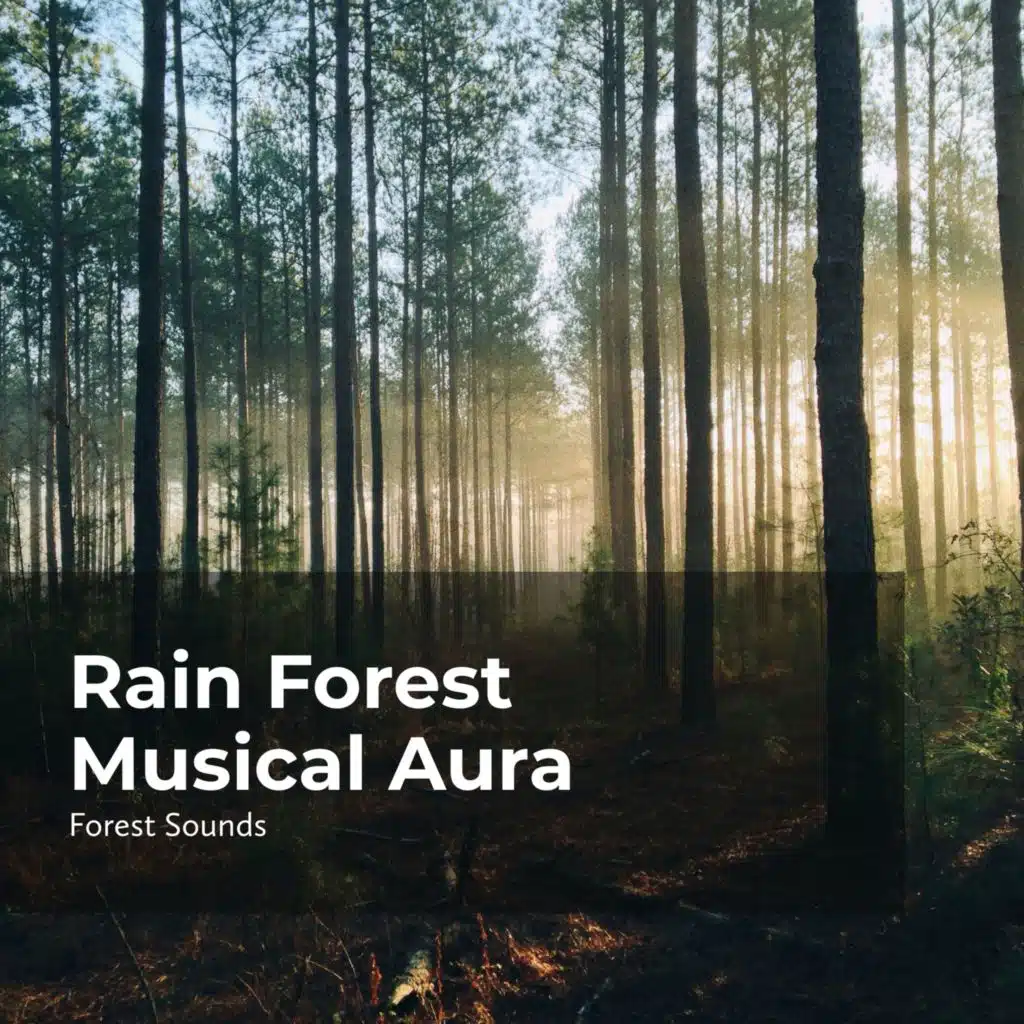 Rainforest Sounds - Musical Flow of River | Play on Anghami