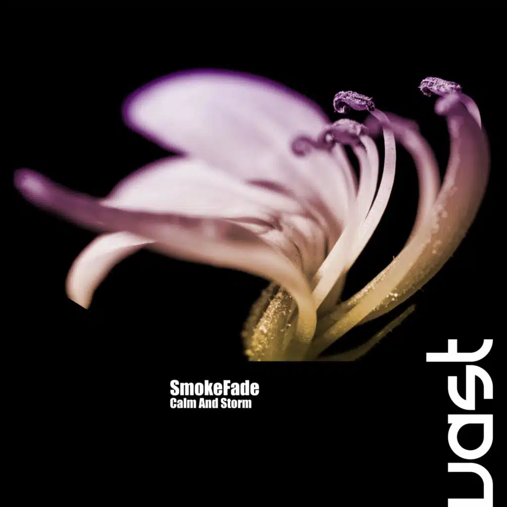 SmokeFade - Law of Love | Play on Anghami