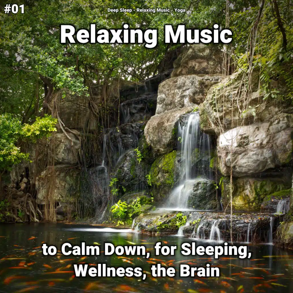 Deep Sleep & Relaxing Music & Yoga - Relaxation Music Pt. 5 | Play on Anghami