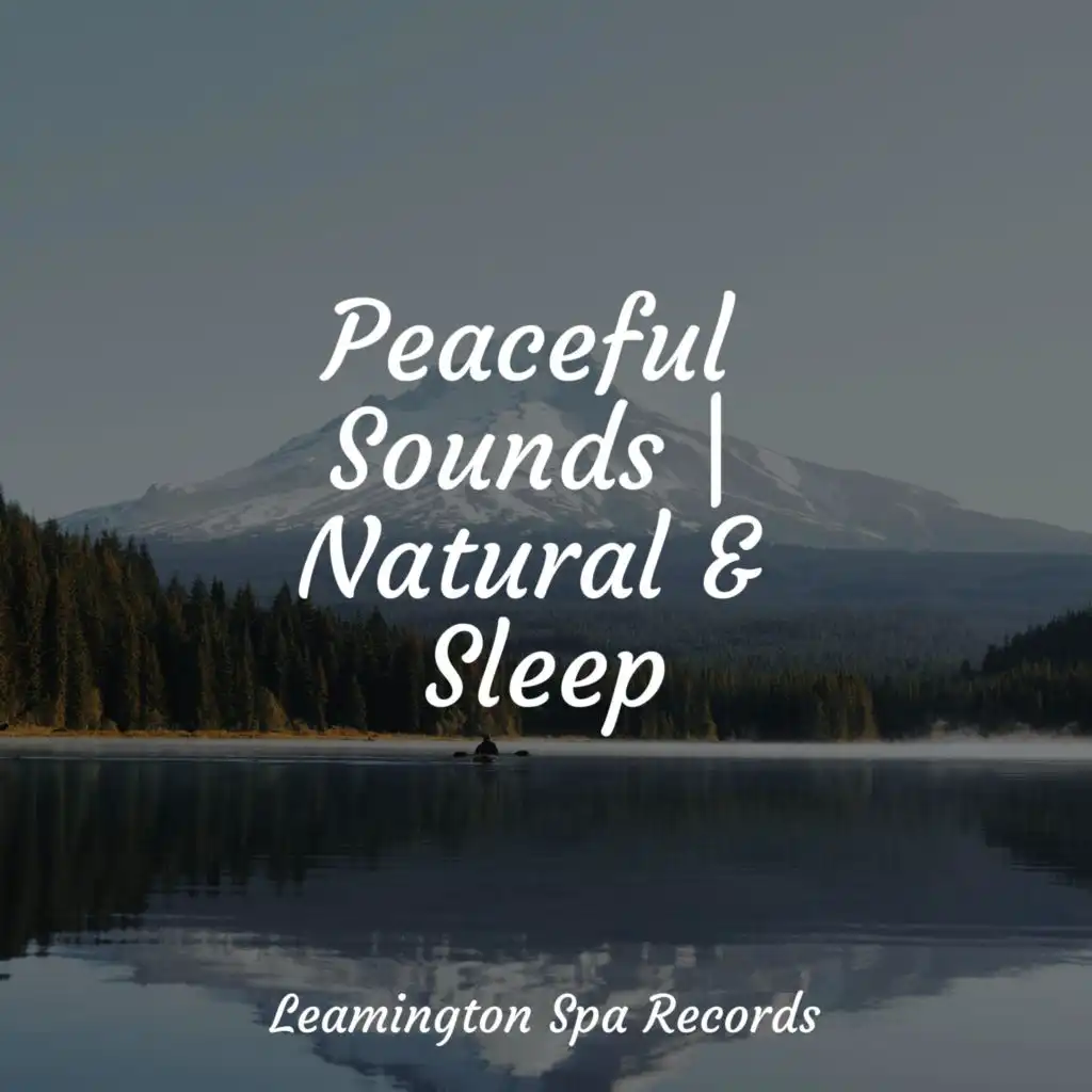 Soothing Nature Sounds Academia De Música Para Massagem Relaxamento