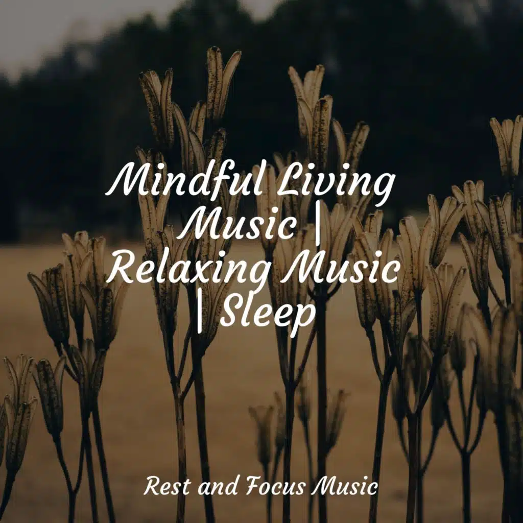 Mindful Living Music | Relaxing Music | Sleep by Sounds of Nature White ...