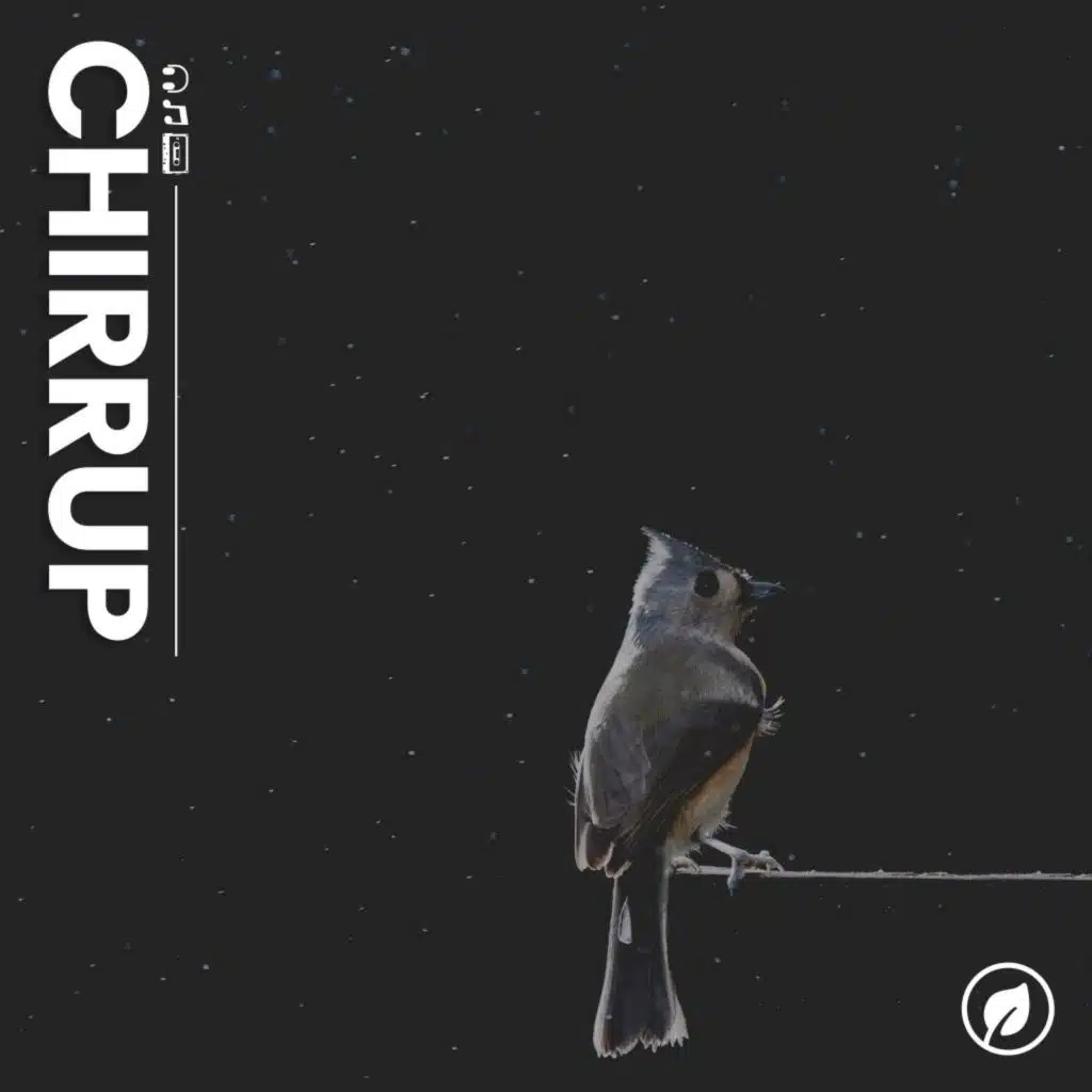 Bird Sounds - Relaxing Bird Sounds | Play on Anghami