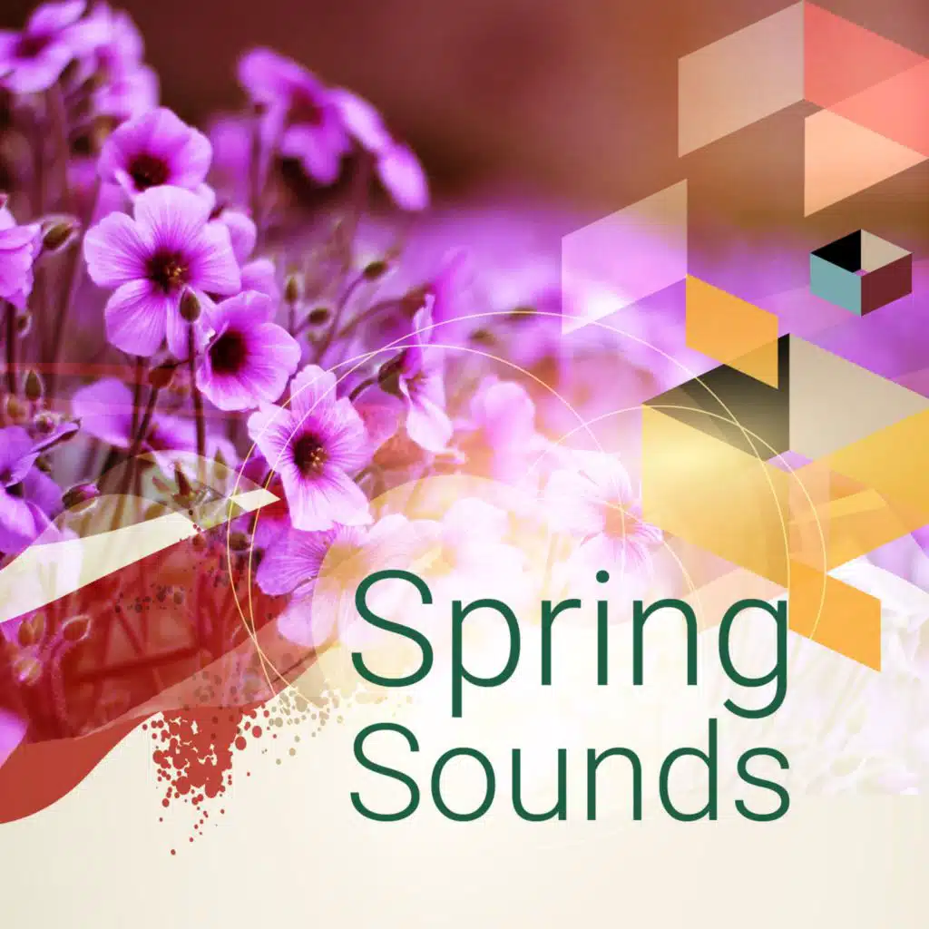Spring Sounds by Various Artists | Play on Anghami