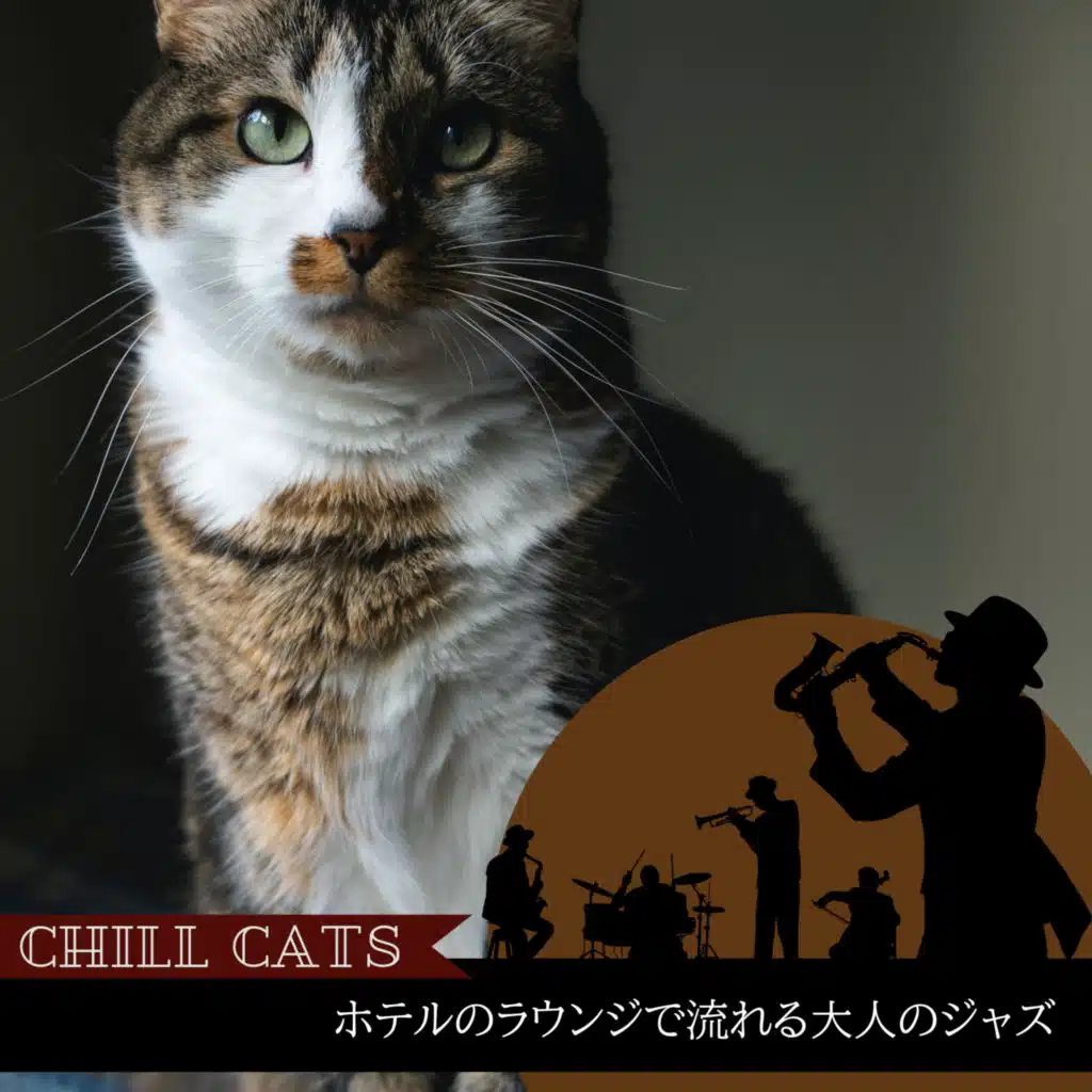 Chill Cats - After the Party | Play on Anghami