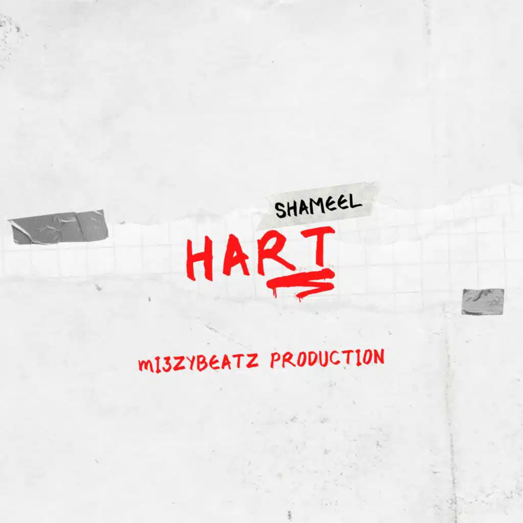 Shameel Afrikaans Music - Die een vimy | Play on Anghami