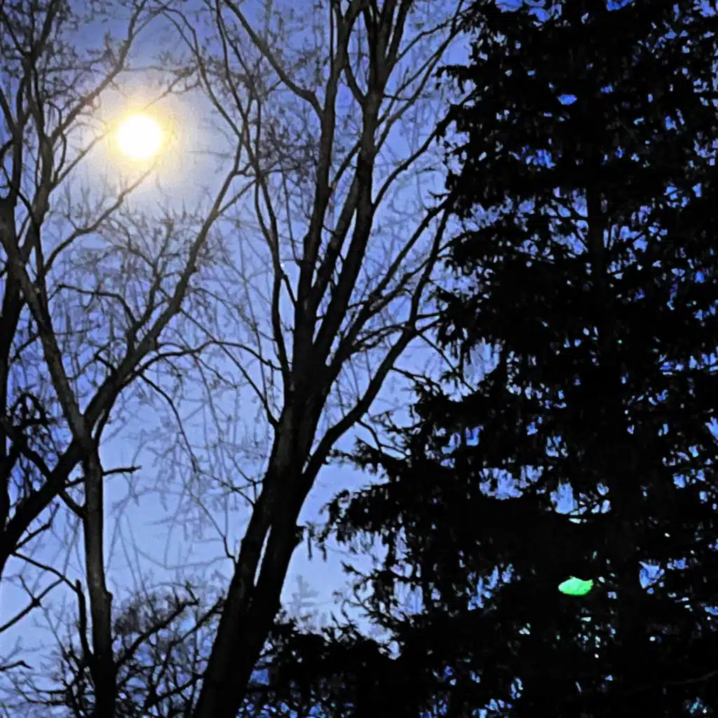 Kyle Hughes - Forgotten Kiss | Play on Anghami