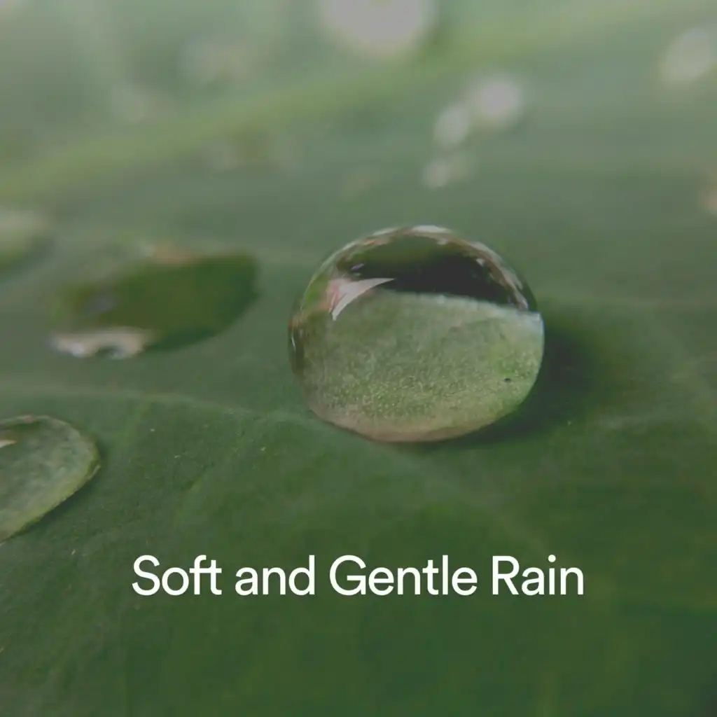 Relaxing Rain Sounds Rain For Deep Sleep White Noise Rain Rain