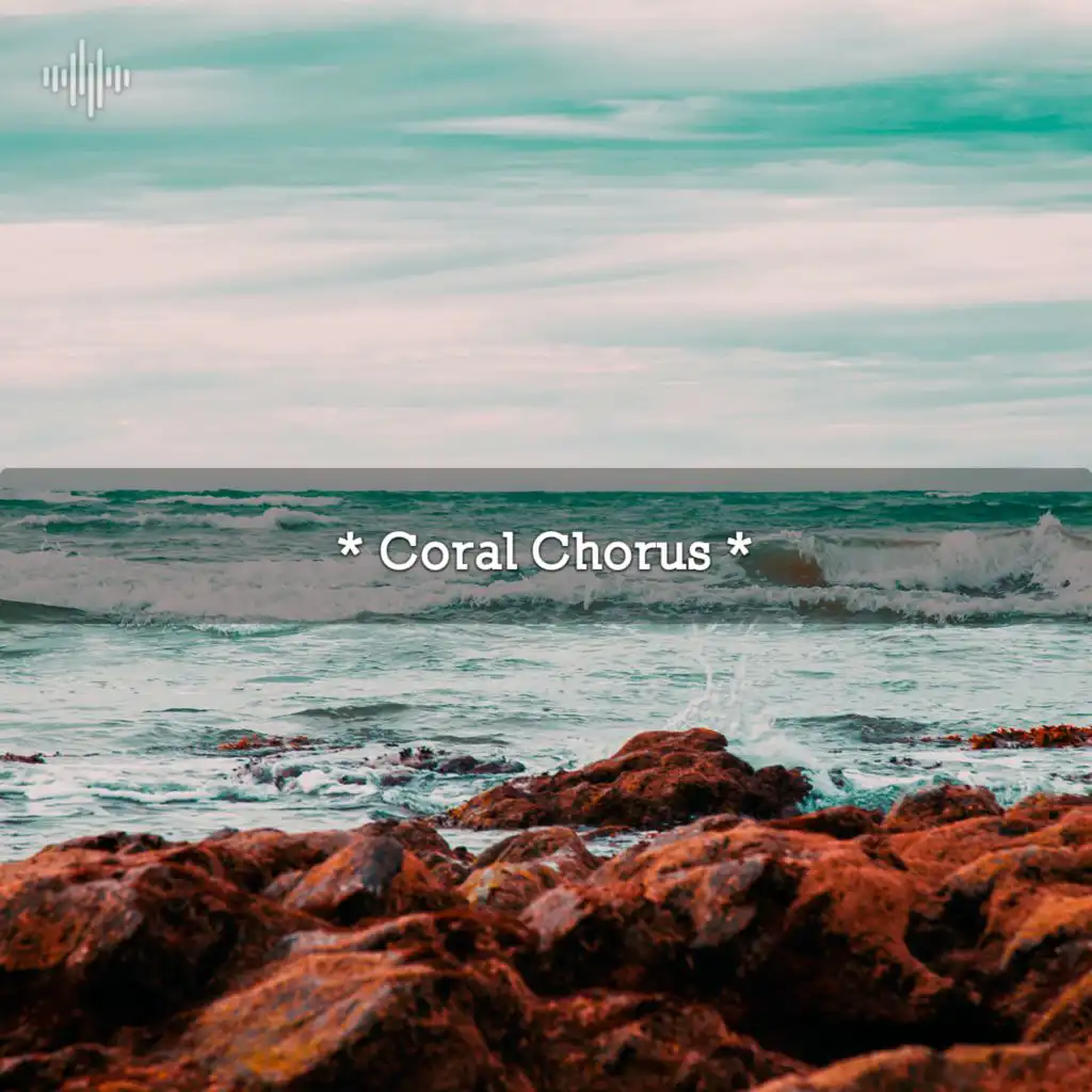 Ocean Sounds, Ocean Waves For Sleep, Relajación - Beaches And Waves ...