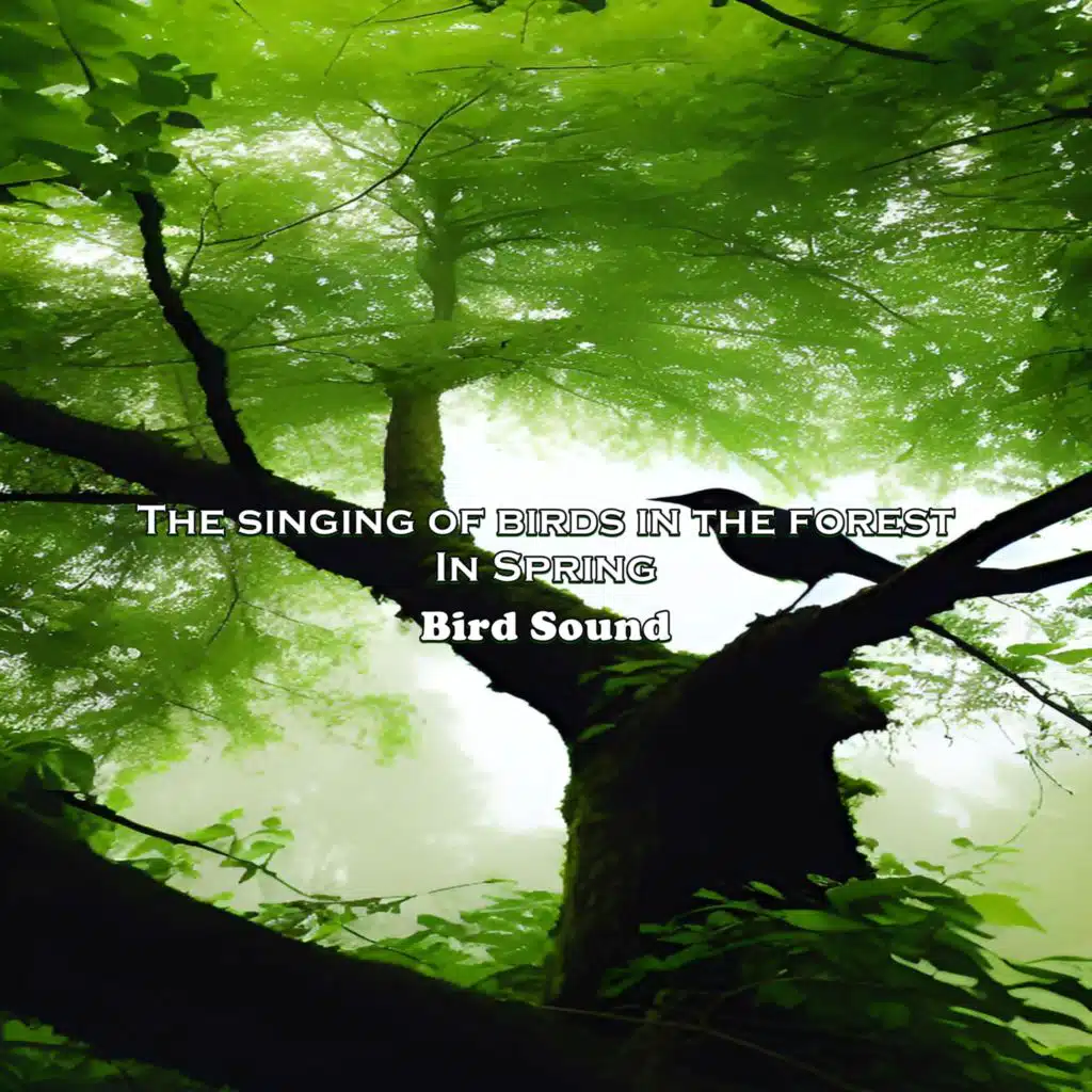 Bird Sounds - The Singing of Birds in the Forest, in Spring, Pt. 17 ...