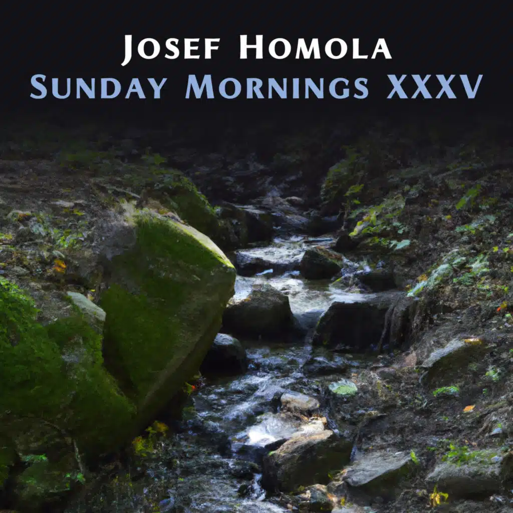Josef Homola - Heavenly Harmonies & Sunday Mornings | Play on Anghami