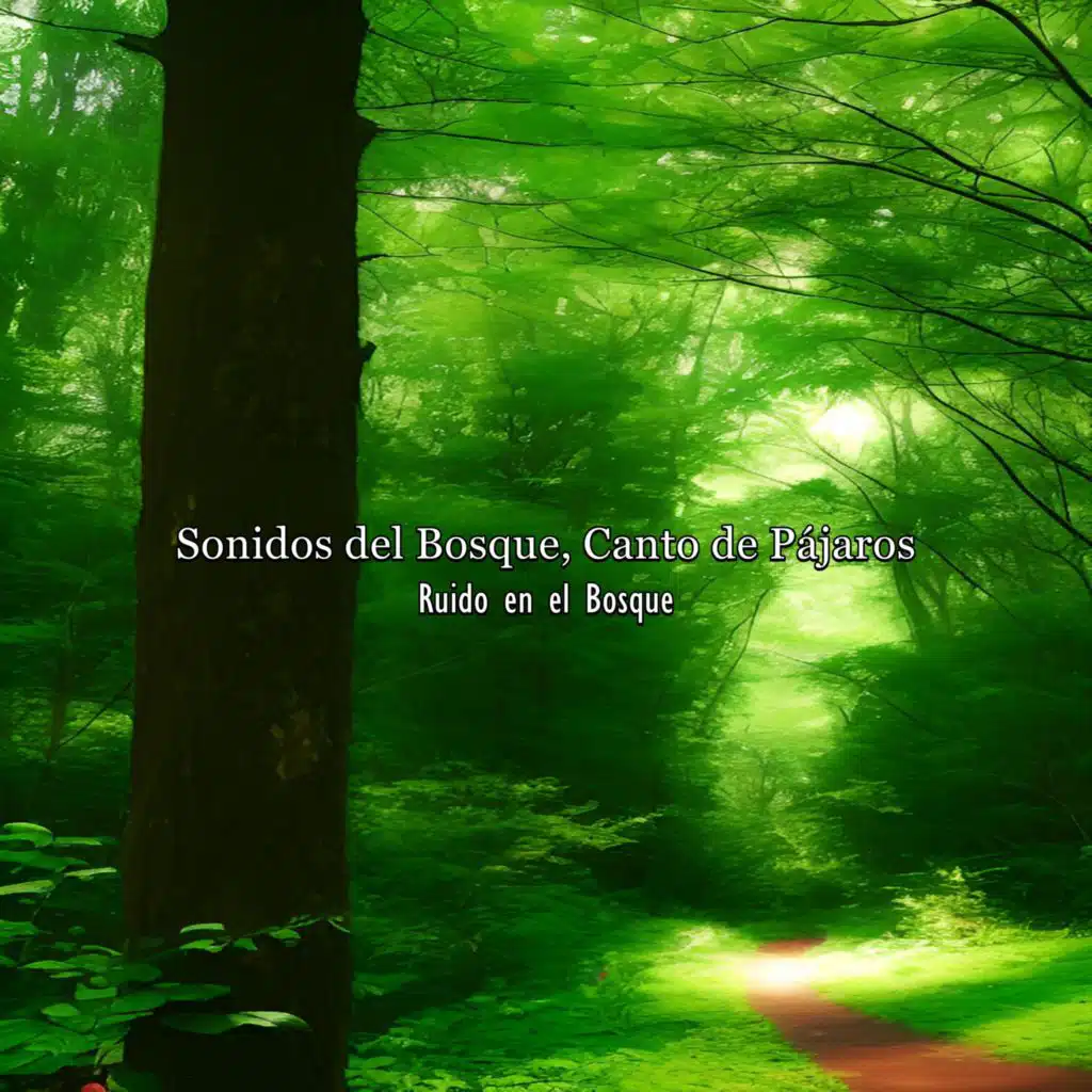 Ruido en el Bosque - Sonidos del Bosque, Canto de Pájaros, Pt. 29 ...