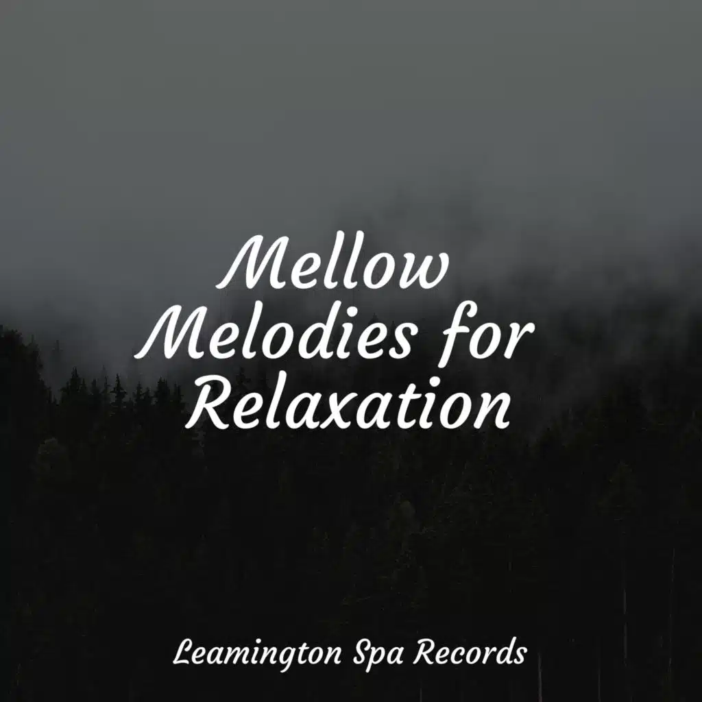 Mellow Melodies for Relaxation by Meditation & Stress Relief Therapy ...