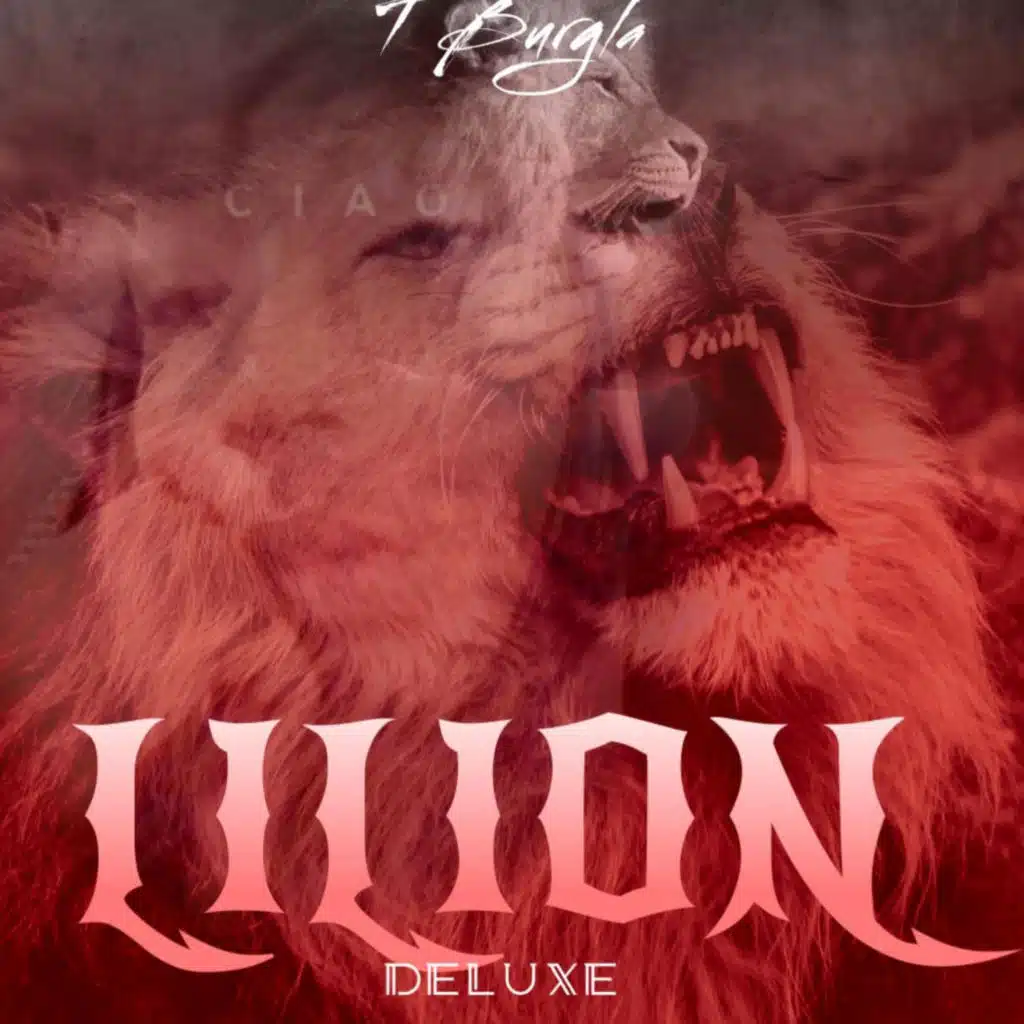 T Burgla - Whooty | Play on Anghami