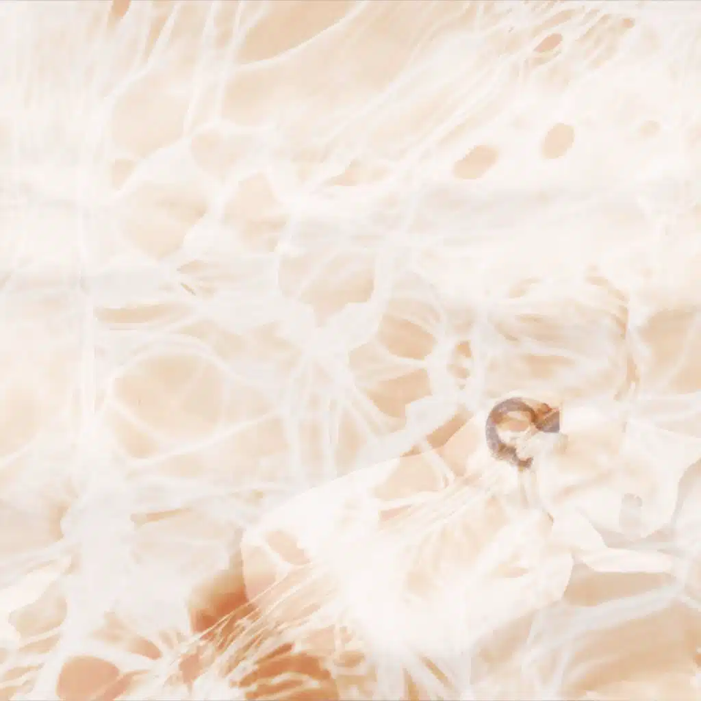 White Sleepz - Forgotten Spaces of Peace in White | Play on Anghami