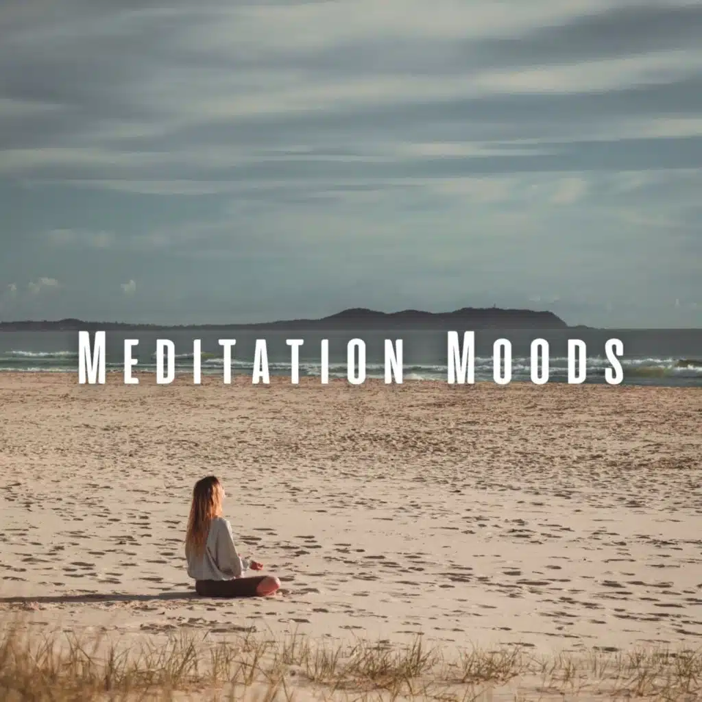 The Silent Minds, Mental Repose & Meditation - Zen Mindful Serenades ...