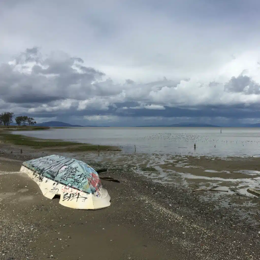 Cazden - Another Way of Learning | Play on Anghami