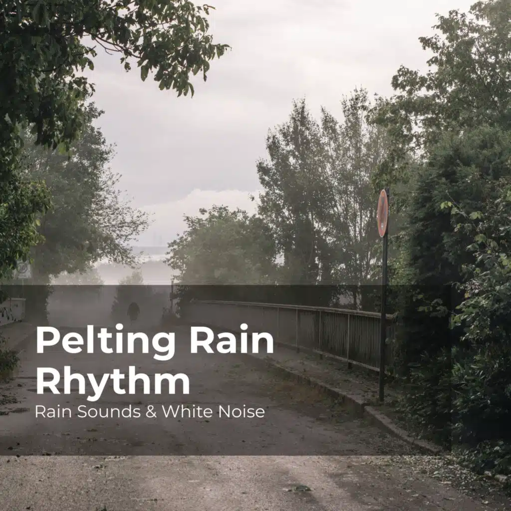 Rain Sounds & White Noise, Raindrops Sleep & Sleep Rain - Cars Driving ...