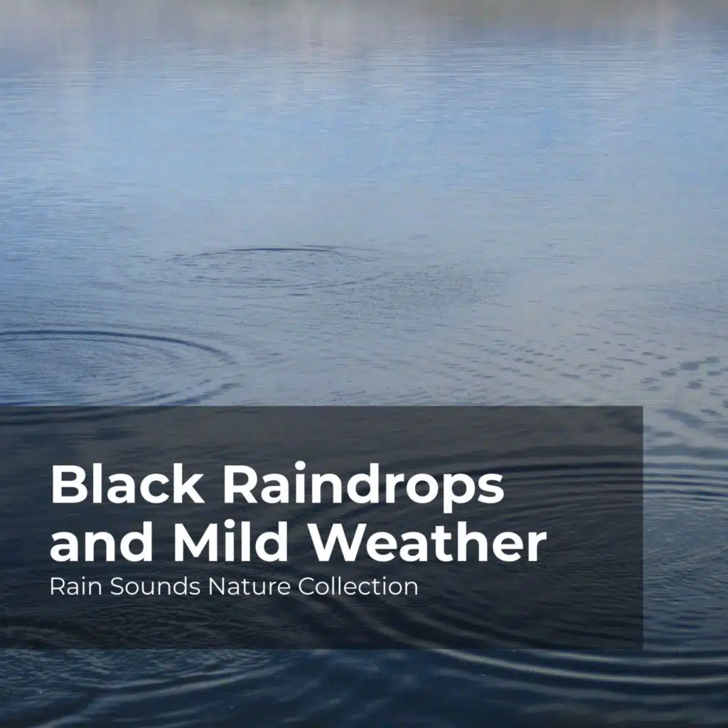 Rain Sounds Nature Collection, ASMR Rain Sounds & Sleepy Rain - Rainy ...