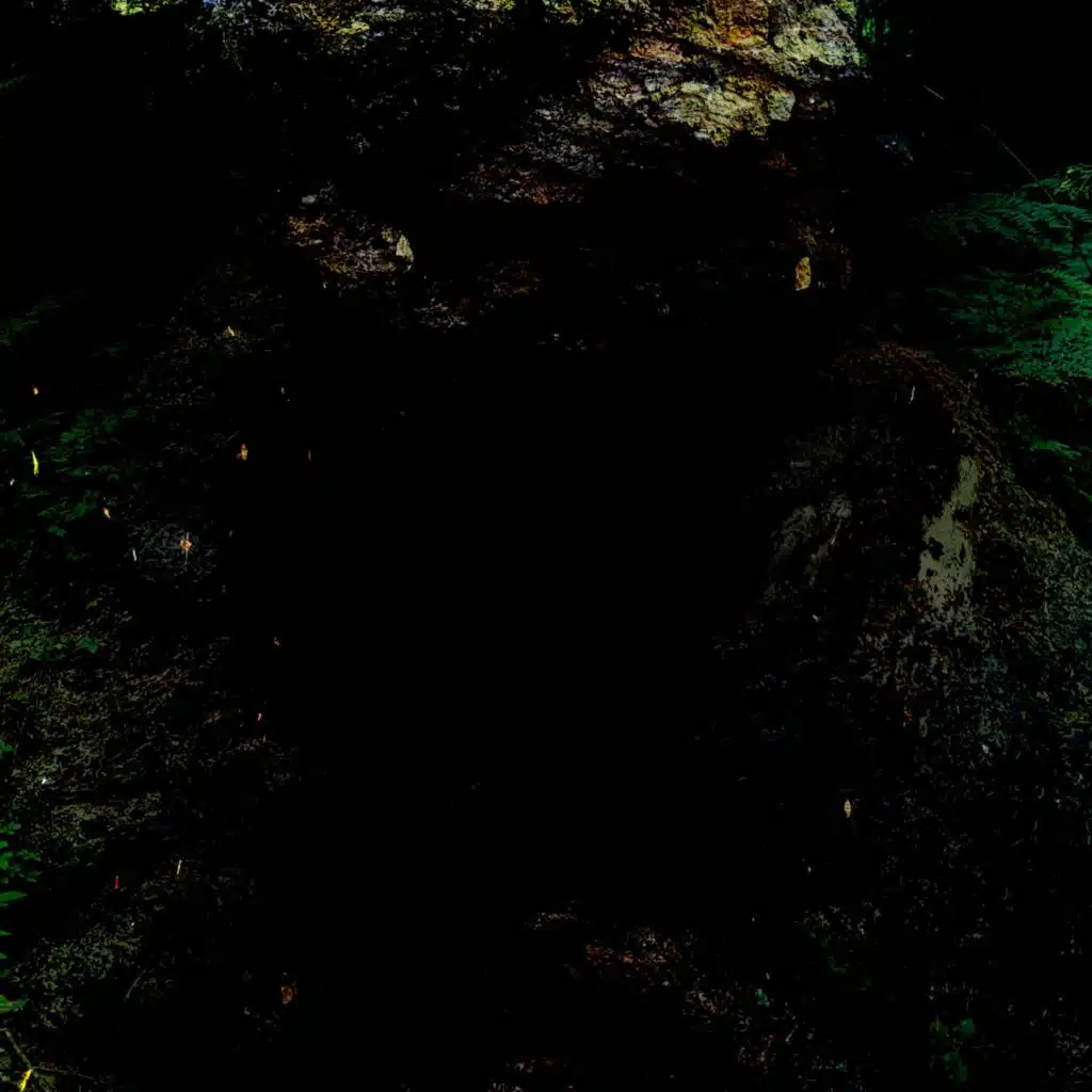 Shed Theory - Lighthearted (feat. Marlon DuBois, Henry Mosto, Joeyy ...