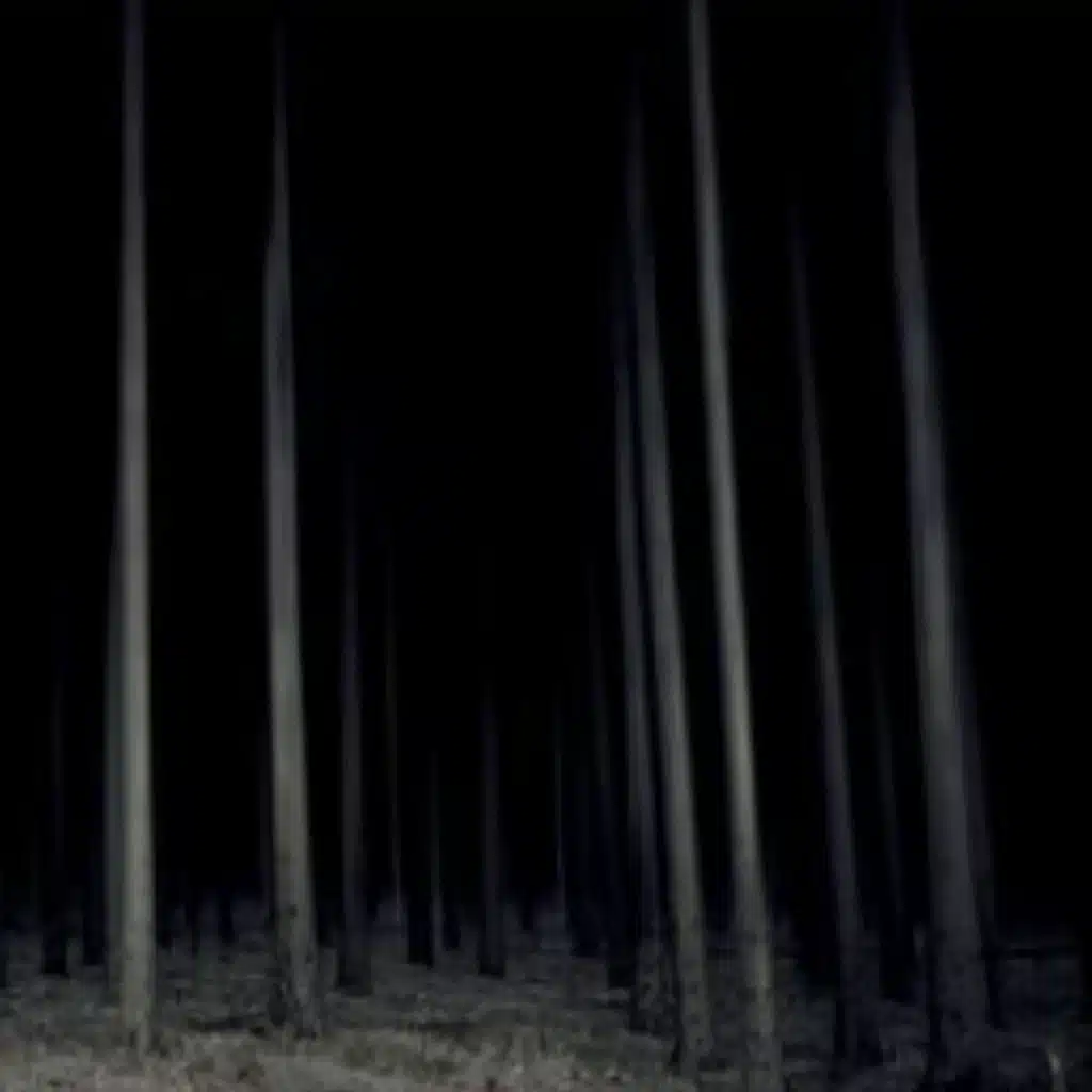 LBWD - Immure (Immure) | Play on Anghami