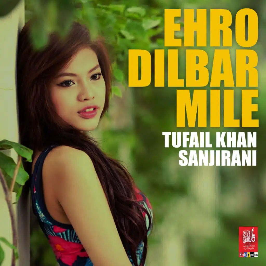 Tufail Khan Sanjrani - War Kholi Ghumandi Na Kar | Play on Anghami