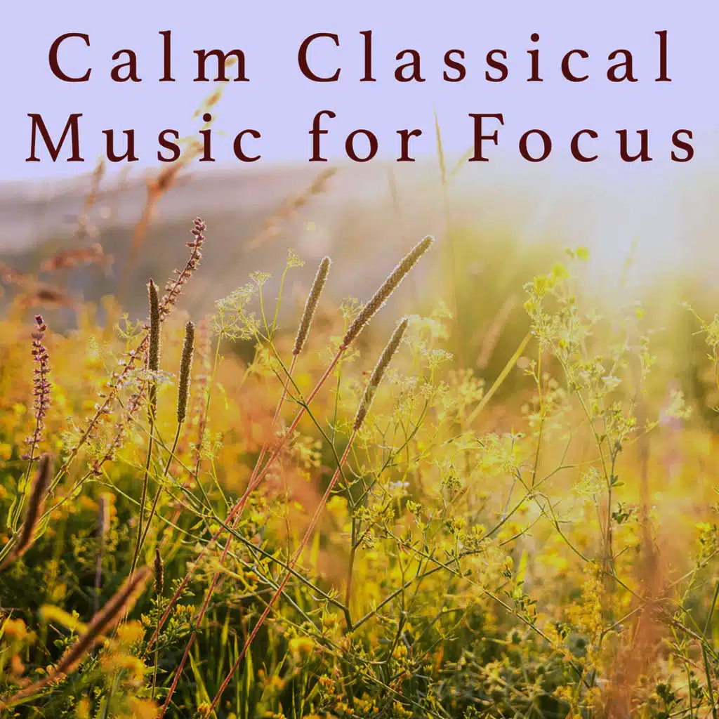Calm Classical Music for Focus by Exam Study Classical Music Orchestra, Studying Music and ...