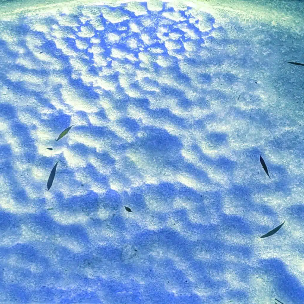 AzAw - Monte Carlo March | Play on Anghami