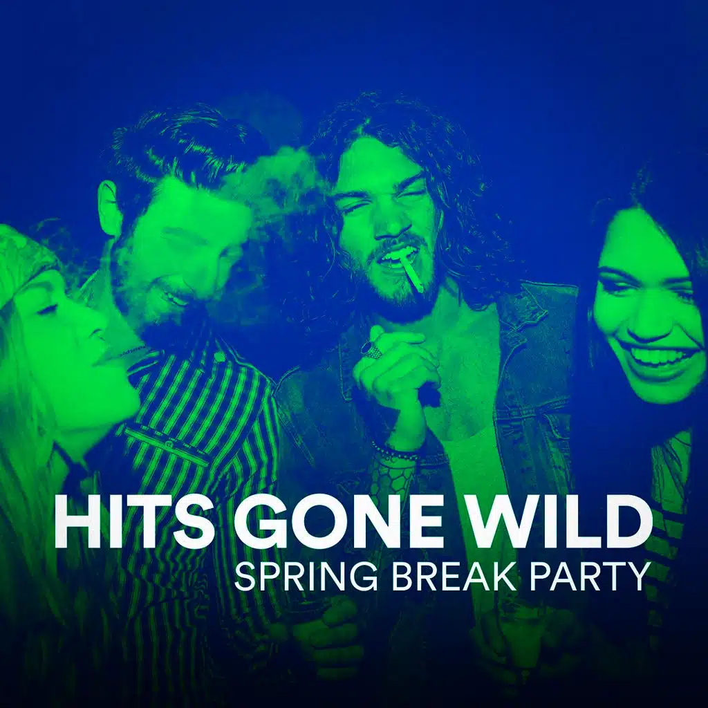 Hits Gone Wild (Spring Break Party) by Top 40 Hits, Los 40, Party Mix ...