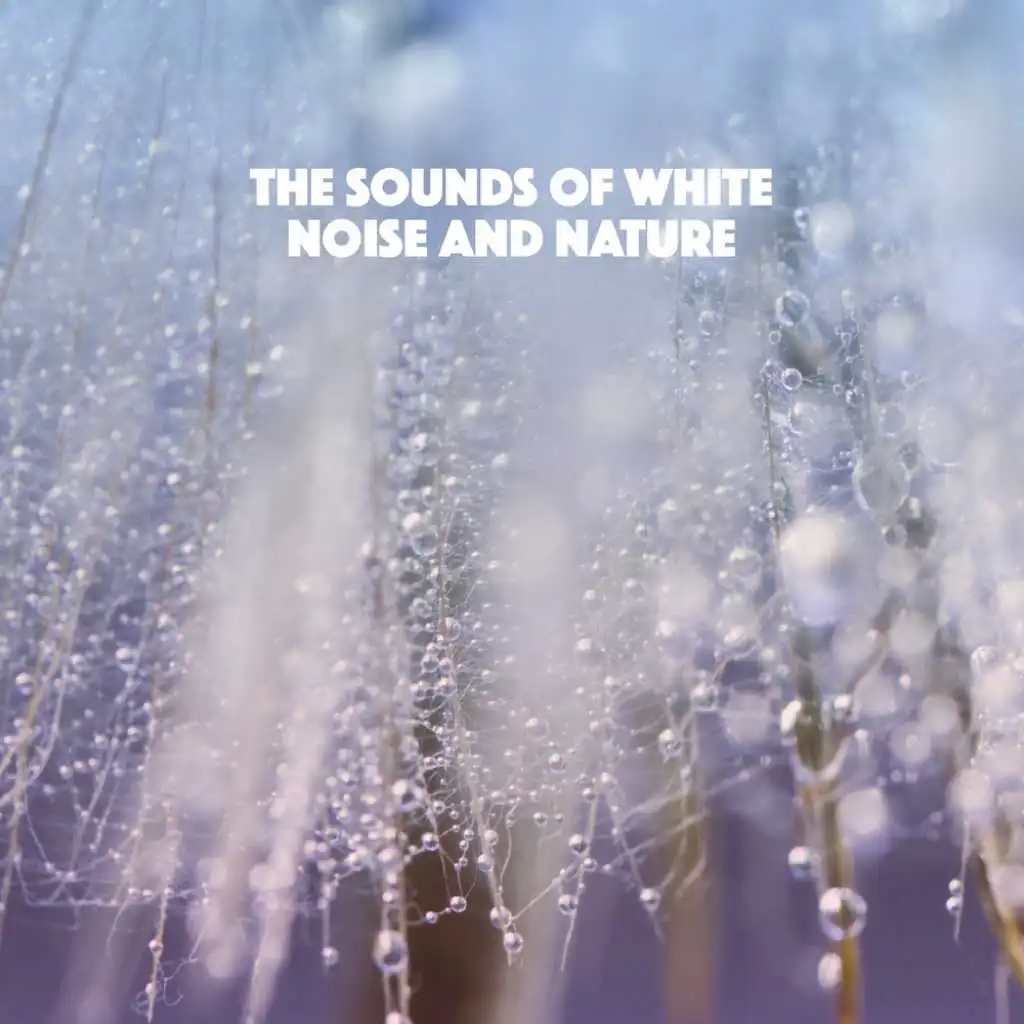 The Sounds Of White Noise And Nature By Rain Sounds Nature Collection