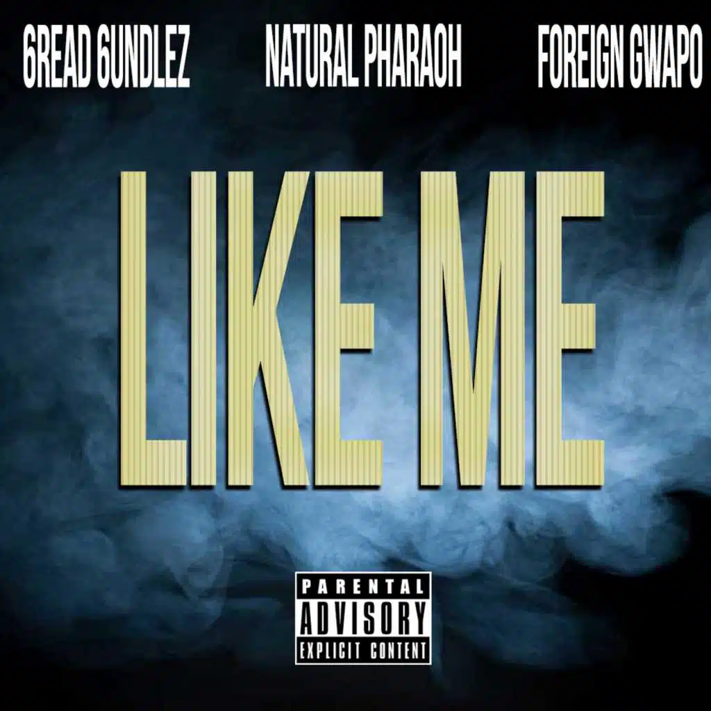 LOR GS.Ent - Like Me | Play on Anghami