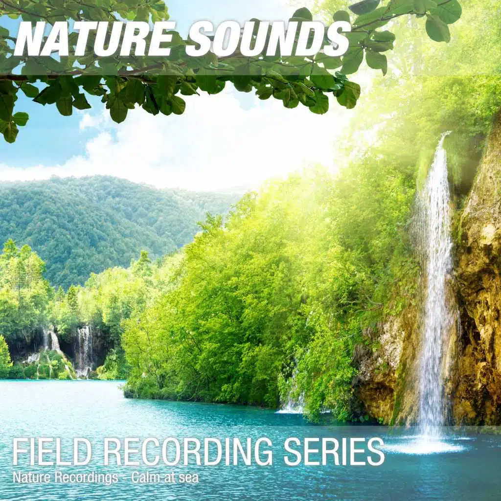 Nature Sounds & Nature Noise - Nature Sounds for Sleep, Relaxation ...