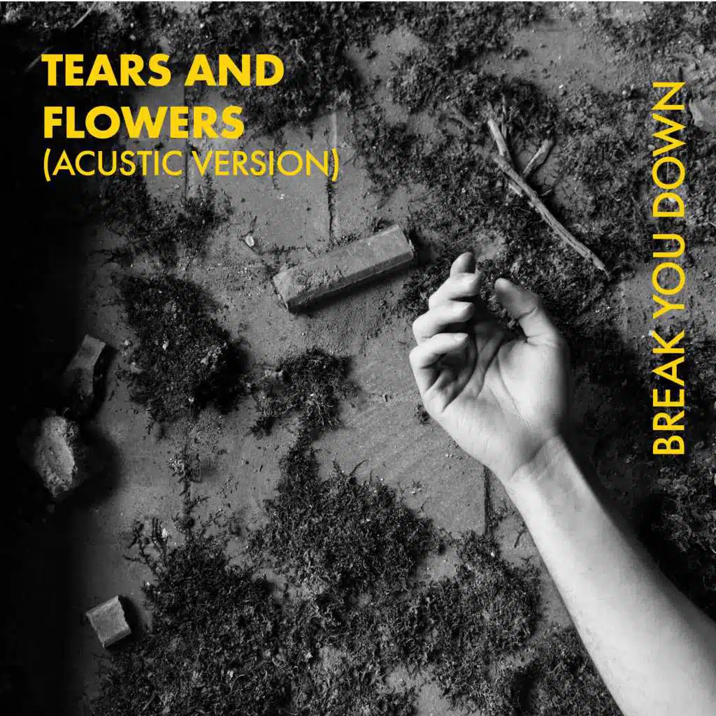 Tears and Flowers - Break You Down (Acustic Version) | Play on Anghami
