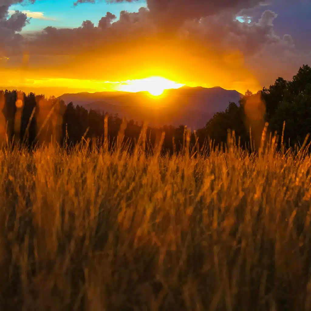 Gavin Langley & Katy Dellenbach - Here's to You (R.I.P.) | Play on Anghami