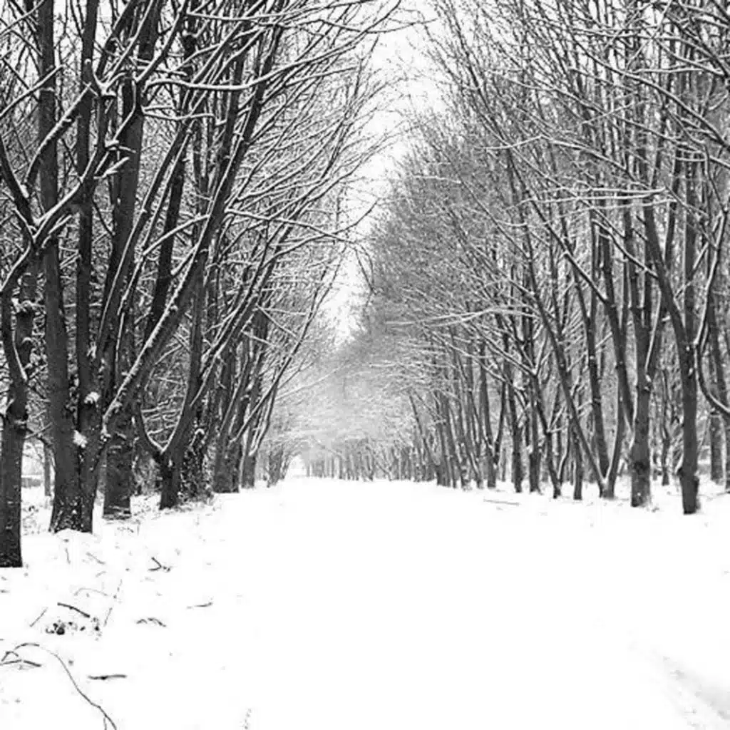 Daniel Falkenberg's Podcast | Listen on Anghami